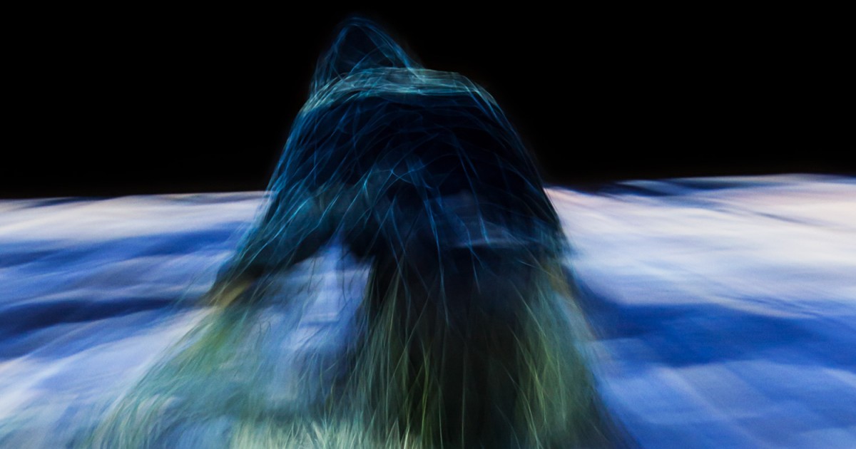 DATADREAM | Steven Michel | Centre national de la danse